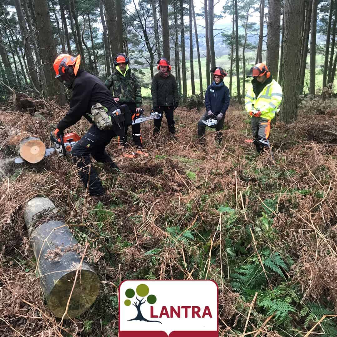 Lantra Chainsaw Maintenance & Crosscutting – UTASS