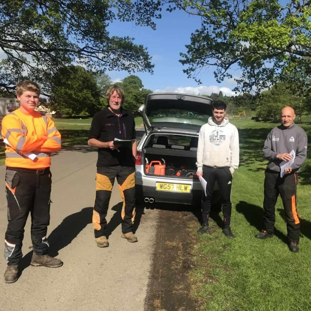 Felling Trees to 380mm – UTASS